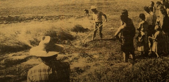 History of NOFA – NOFA/RI